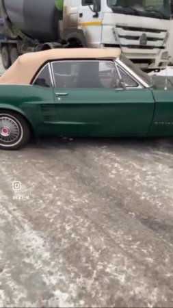 Перетяжка слона Ford Mustang