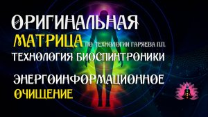 Энергоинформационное очищение ⚠️ Оригинальная матрица по технологии Гаряева П.П ☀️ SoftRadio.ru