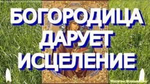 Богородица дарует исцеление. Просите сегодня о помощи пред ее иконой Споручница грешных