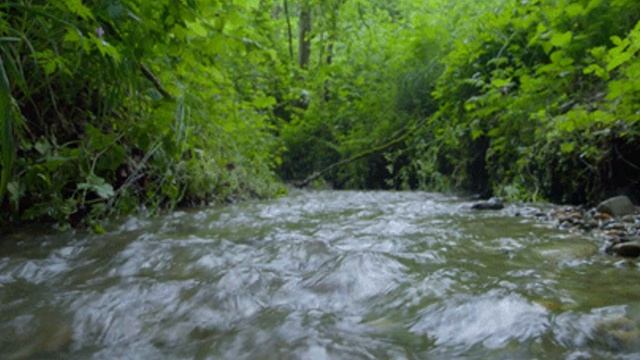 Губит людей не пиво