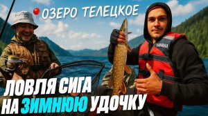 озеро Телецкое | Ловля СИГА на зимнюю удочку | ПОЙМАЕТ КАЖДЫЙ!