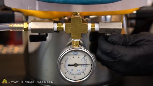 Brain In A Vacuum Chamber | TKOR Brain Casting With Silicone Mold and ...