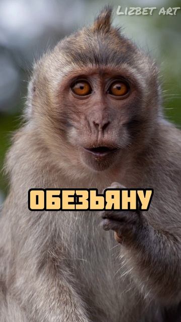 Рисую несуществующее животное 🐒 +🦁=❓(ч.96) #tiktok #shorts #art #gouach