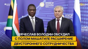 Володин обсудил с вице-президентом ЮАР Полом Машатиле расширение двустороннего сотрудничества