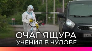 В Чудовском округе отработали сценарий ликвидации опасного вирусного заболевания животных