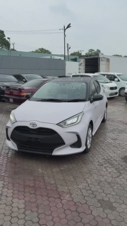 Выдаем клиенту Toyota Yaris