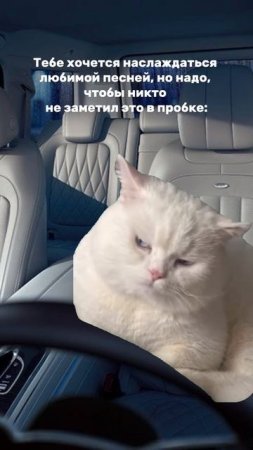 🪩Ничего не бойтесь — кайфуйте!