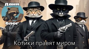 Клип "Котики правят миром"