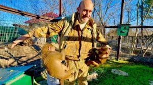 Люся, Степа и Маня после обеда устроили папе Владу ПОЛНЫЙ ДОСМОТР