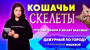 Кошачьи скелеты. Что ещё нашли в шкафу у бабушки? | ДПГ. Неделя
