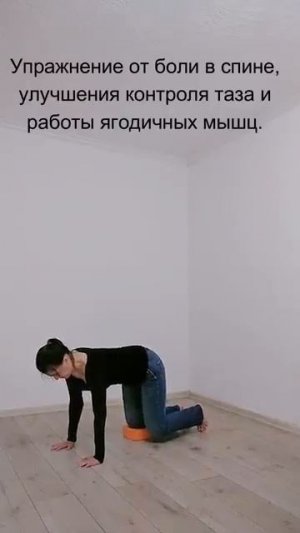 зож