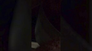 На британскую авиабазу напали активисты на самокатах