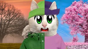 ШКОЛА КОТОВ А ну-ка Давай-ка ПОСЛЕДНИЙ УРОК про ВЕСНУ! КОШКА МУРКА и КОТ МАЛЫШ ВЫРОСЛИ! ЧТО ДАЛЬШЕ?