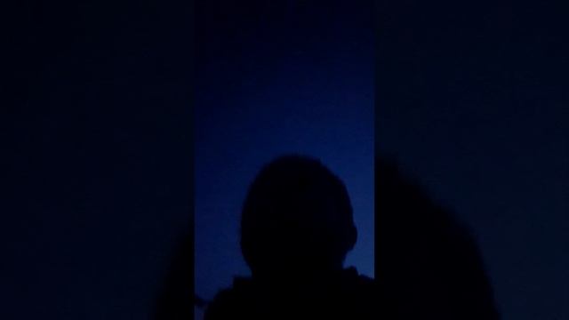 Как крыли кобылу подписчице сквозь слёзы и погибла лошадь