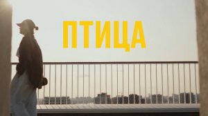 Ne.Chart & Solovyulya - Птица