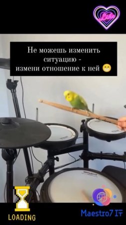 💻 Не можешь изменить ситуацию, измени своё отношение к ней ...