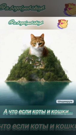 Клип про котеек 😺