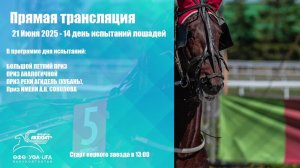 Прямая трансляция 21 Июня 2025 - 14 беговой день для лошадей рысистых пород