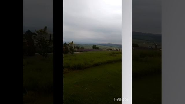Божественная красота