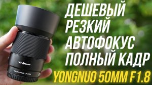 Лучший БЮДЖЕТНЫЙ объектив Yongnuo YN 50mm F1.8S E-Mount⚡ Обзор, тест автофокуса Sony a74, Sony a7s3