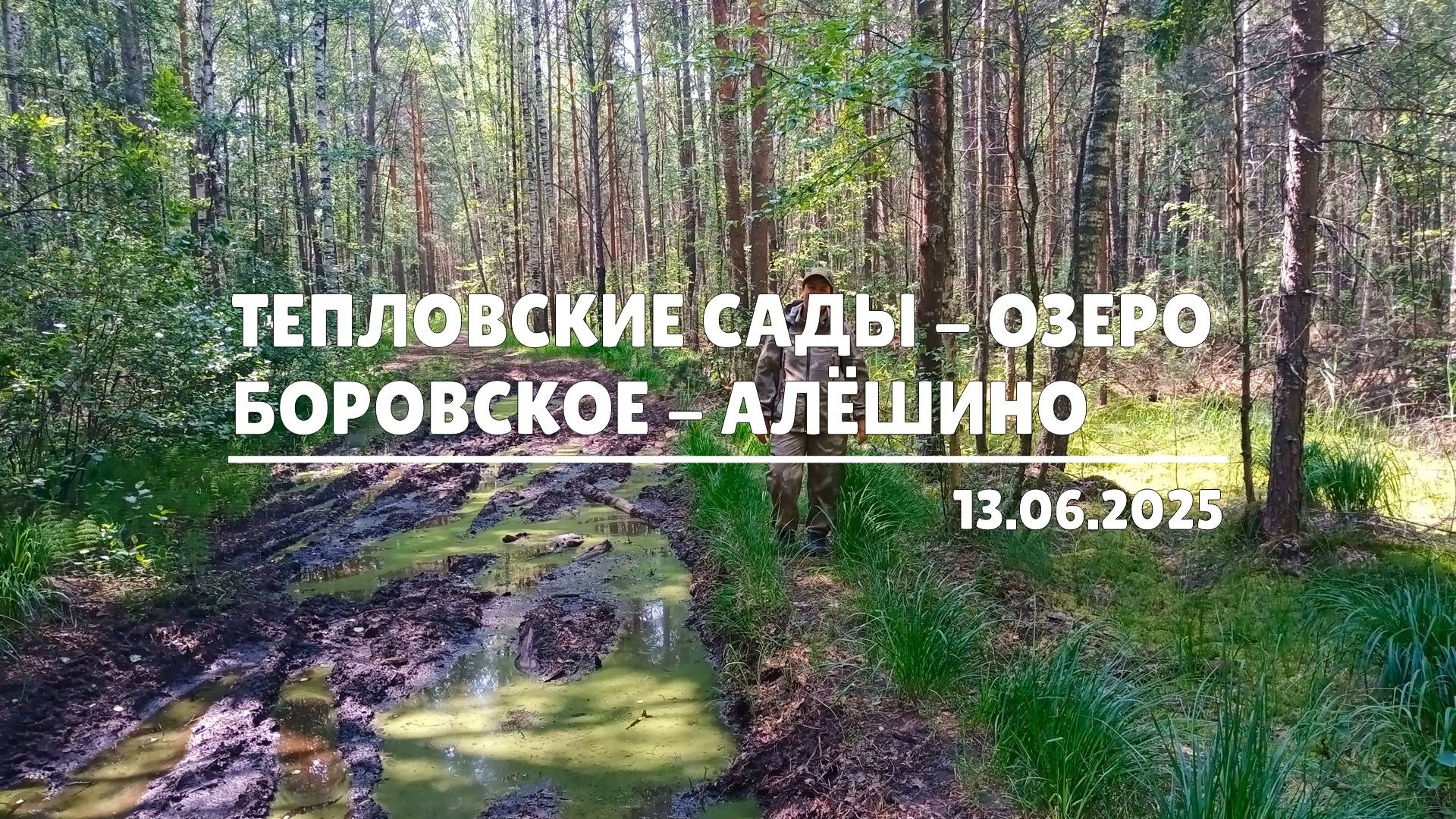Тепловские сады - озеро Боровское - Алёшино (13.06.2025)