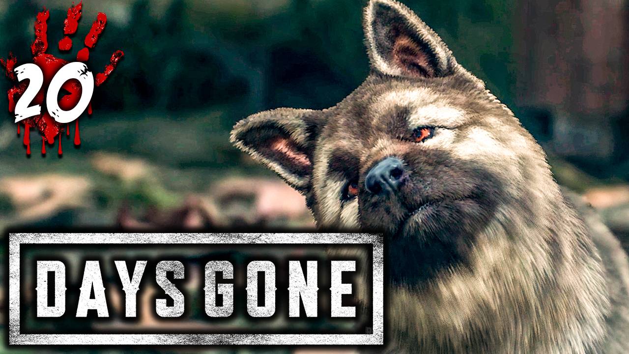 Days Gone (Жизнь После) Прохождение 20 ᐅ Маленький друг