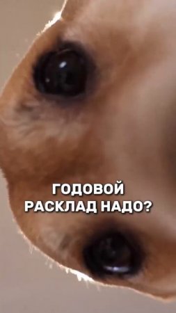 Годовой расклад на картах Таро #тарологонлайн #таро #тарорасклады #тарорасклад #годовойрасклад