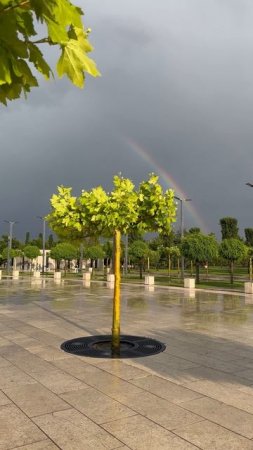 Парк Галицкого в дождь и солнце