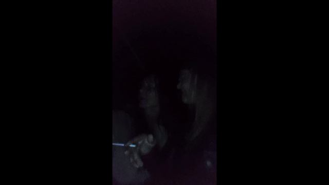 Хомяк с бобром на шашлыках.