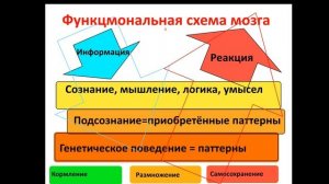 2.Скамейка на Луне. Продолжим, кукушата_
