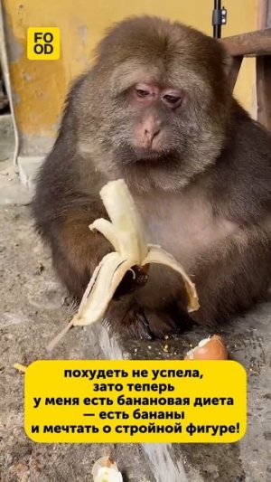 Кто со мной? #кулинария #еда #юмор #питание #жизненно #прикол #перекус #диета #смех #foodru