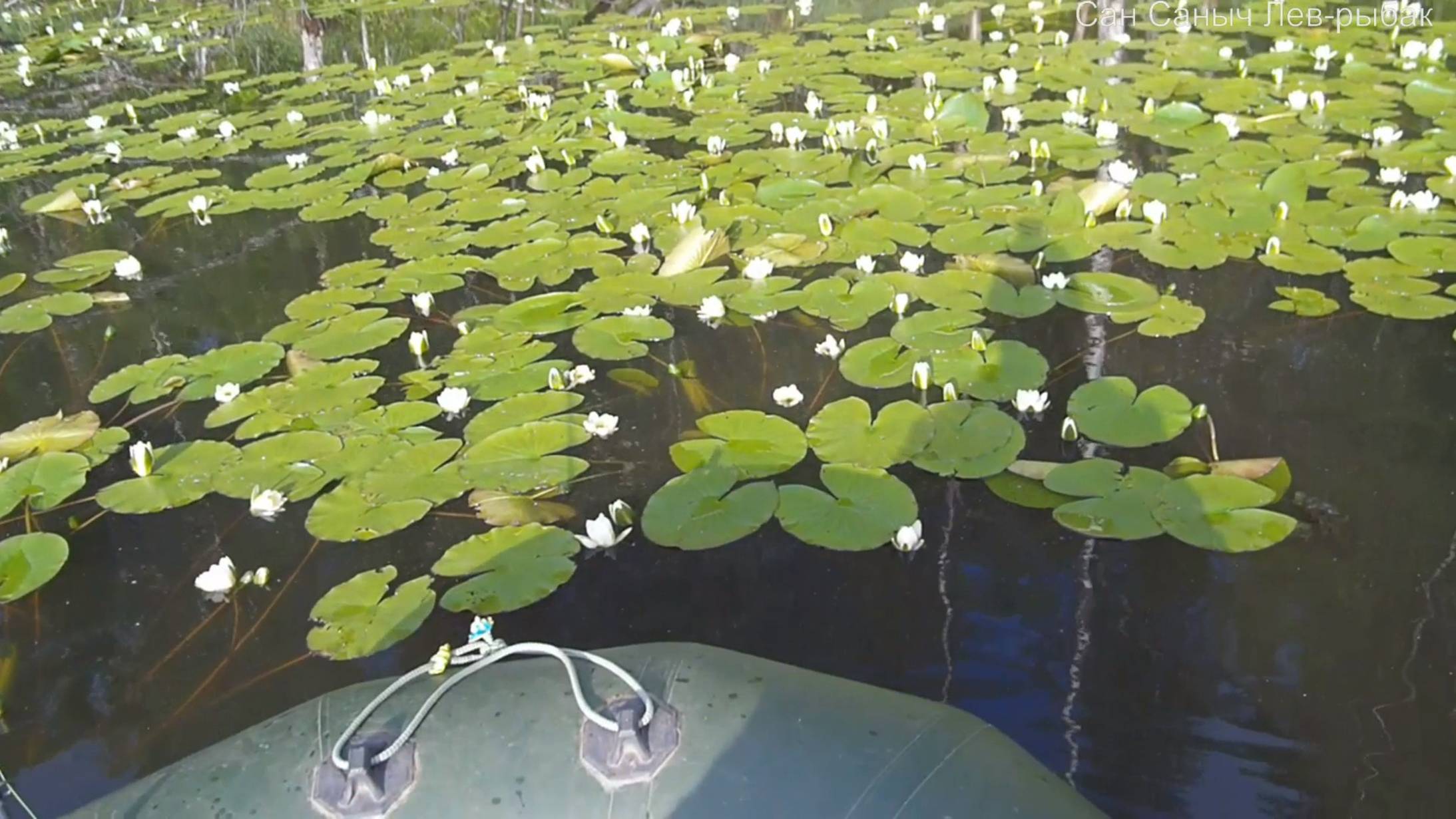 Рыбалка на озере Белых лилий