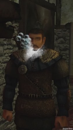 Ты принес мне пиво? #TheChroniclesofMyrtanaArcholos #ХроникиМиртаныАрхолос #Gothic2 #Готика2 #shorts
