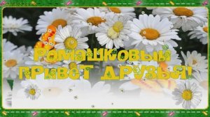 Ромашковый привет Друзьям!