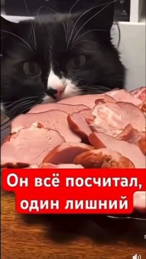 Один лишний!