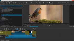 16. Shotcut. Фильтры (Маски)