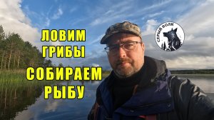 Ловим щуку, гуляем по лесу