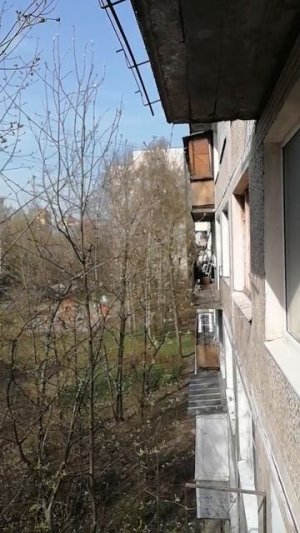 С  13 до 15 часов в Быдлобурге должно быть тихо. Но меломанам закон не писан.