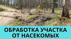 Обработка участка от насекомых: комаров и клещей
