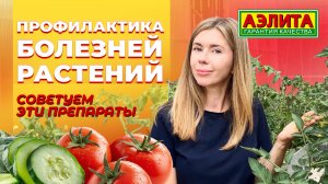 БОЛЕЗНИ РАСТЕНИЙ. Профилактика болезней и препараты для защиты растений.