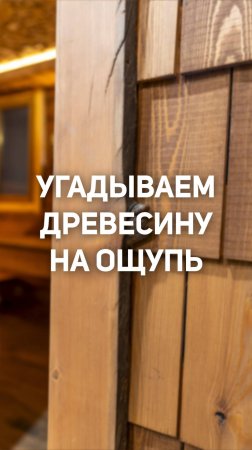 Узнаём древесину на ощупь, не глядя!