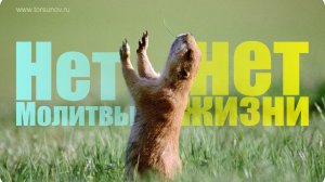 Молитва за мир во всем мире! Live: УТРЕННИЙ ОНЛАЙН-РЕТРИТ «БЛАГОСТЬ» 23.06.2025