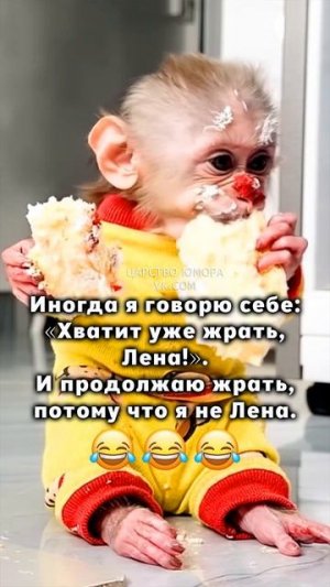 Лапусенька!