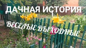ДАЧНАЯ ИСТОРИЯ ! ВЕСЕЛЫЕ ВЫХОДНЫЕ В РОСТОВЕ!