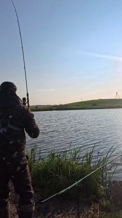 КАРАСЬ НА ПИКЕР