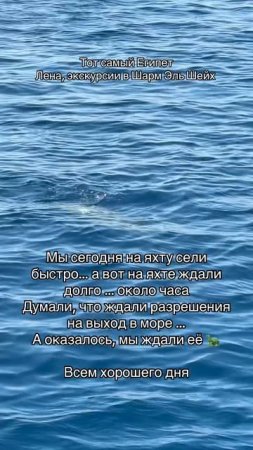 Везение или неудача ?