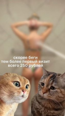 «Такое возможно?»