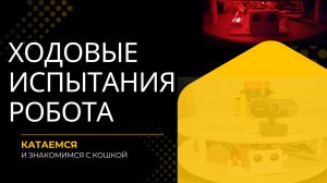 Ходовые с камерой и лидаром