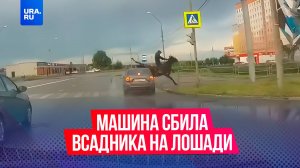 Машина сбила всадника на лошади в Магнитогорске