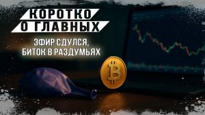 ЭФИР СДУЛСЯ, БИТОК В РАЗДУМЬЯХ